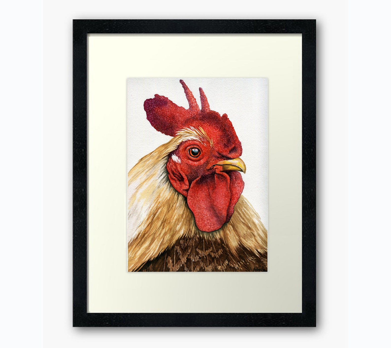 Rooster Watercolor Painting, Bird Art, Farm Animal, Audubon Style ...