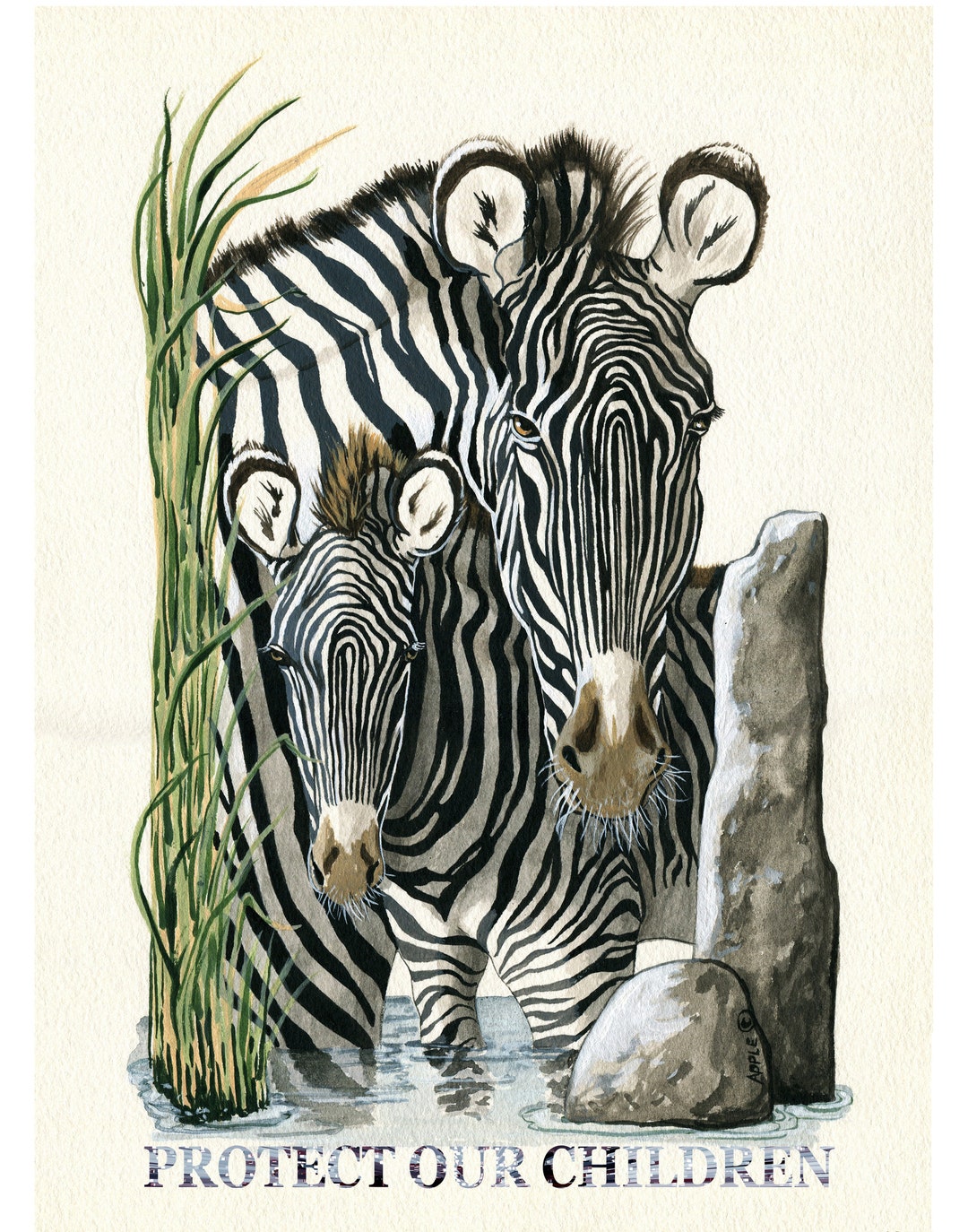 Mother Zebra & Colt - Wildlife Illustrative Protect Our Children Series ...