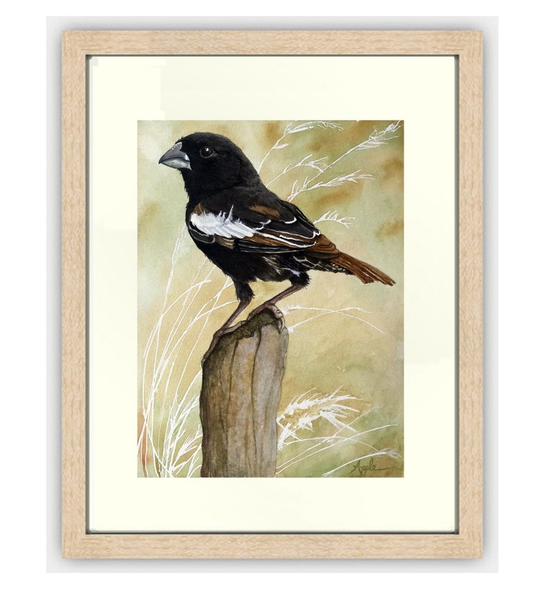 Lark Bunting Colorado State Bird Original Wildlife Watercolor | Etsy