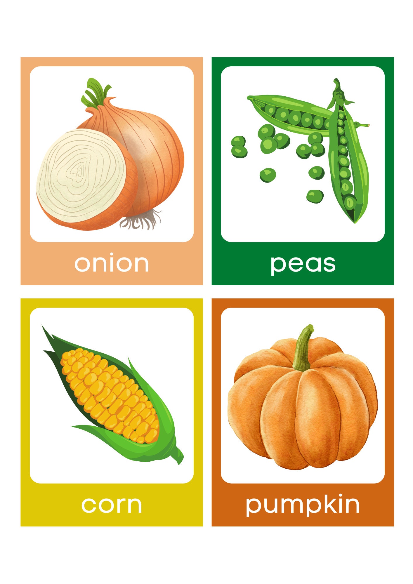 ESL Vegetable Flash Cards, Printable Flash Cards, Montessori Flash Card ...