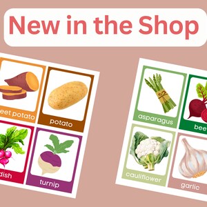ESL Vegetable Flash Cards, Printable Flash Cards, Montessori Flash Card ...