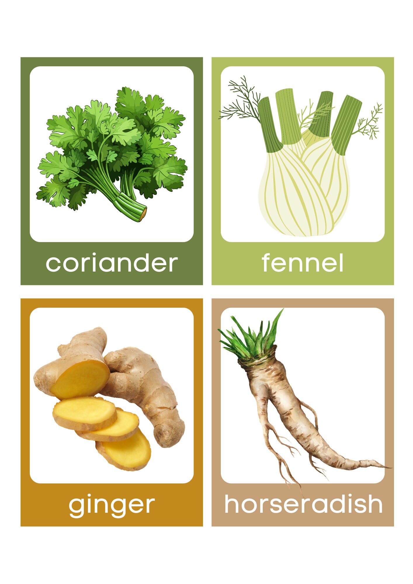 ESL Vegetable Flash Cards, Printable Flash Cards, Montessori Flash Card ...