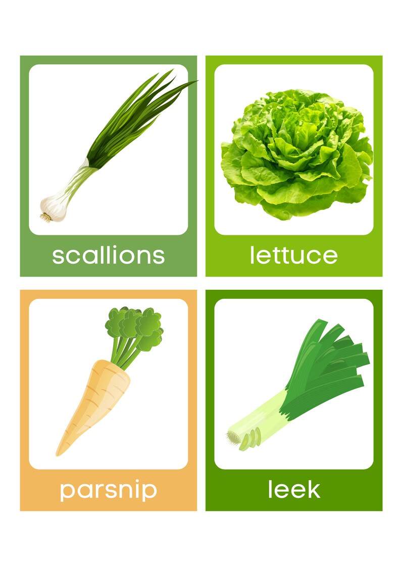 ESL Vegetable Flash Cards, Printable Flash Cards, Montessori Flash Card ...