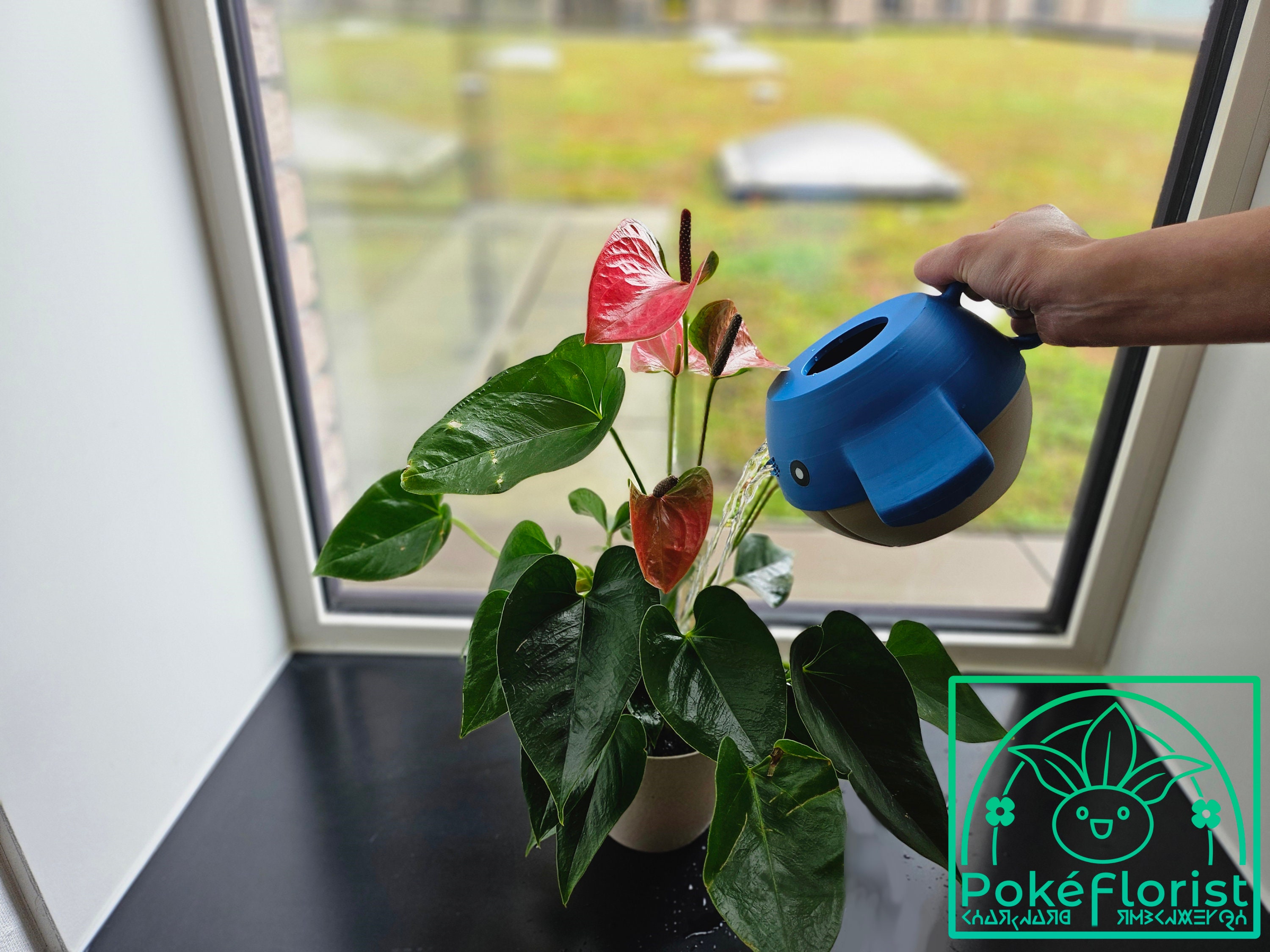 Wailmer Pail - Watering Can - Etsy