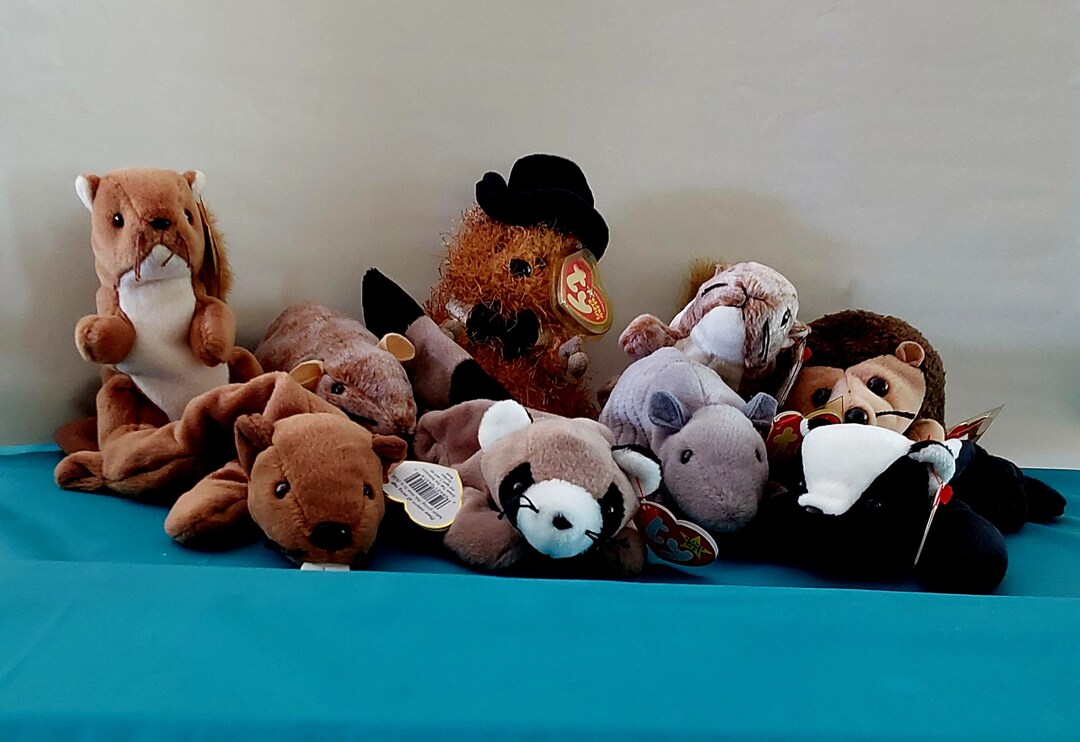 TY Beanie Baby Phil Nuts Tank Prickles Tiptoe Chipper Ringo Stinky ...