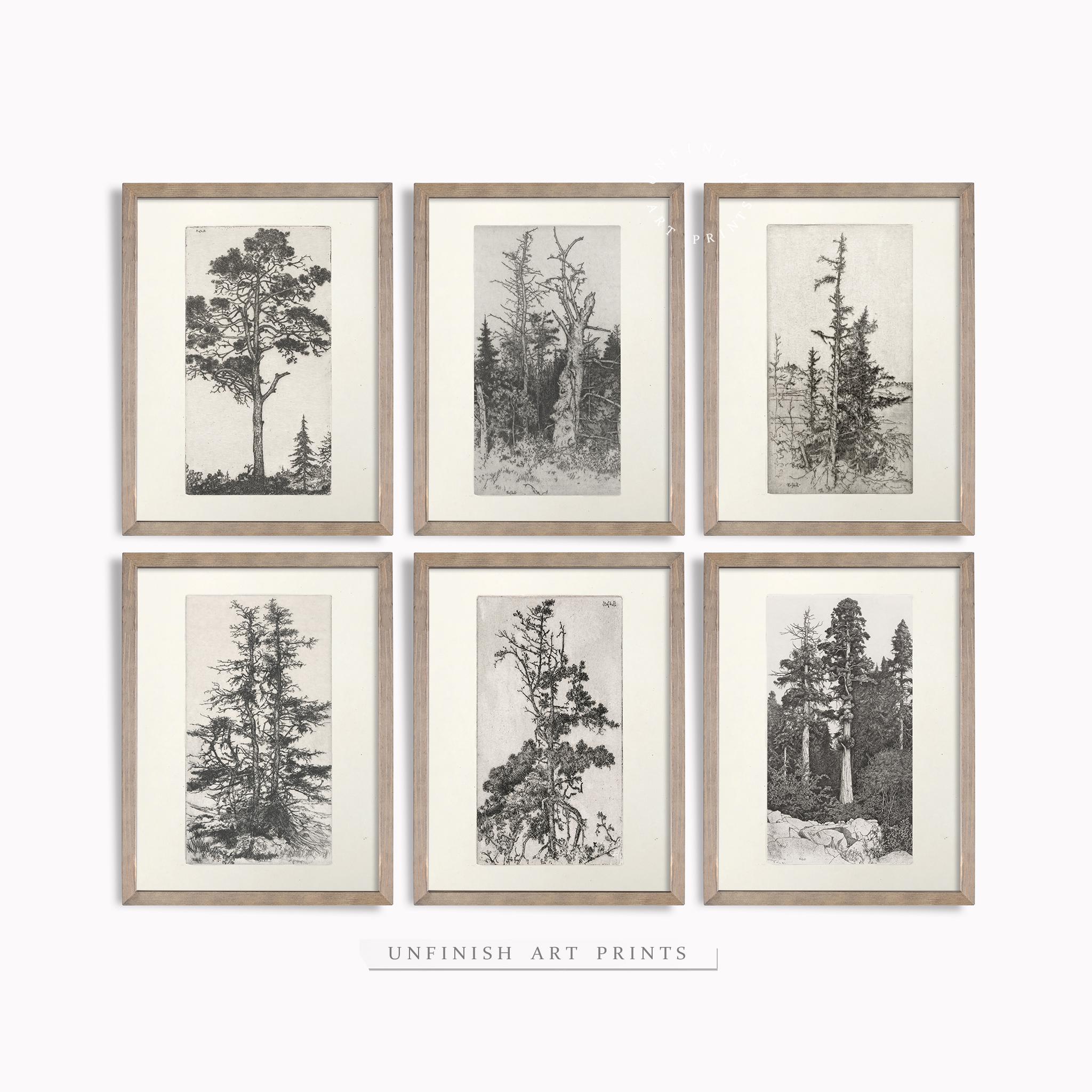 Vintage Tree Sketches Etching Print | Neutral Gallery Wall Print Set ...