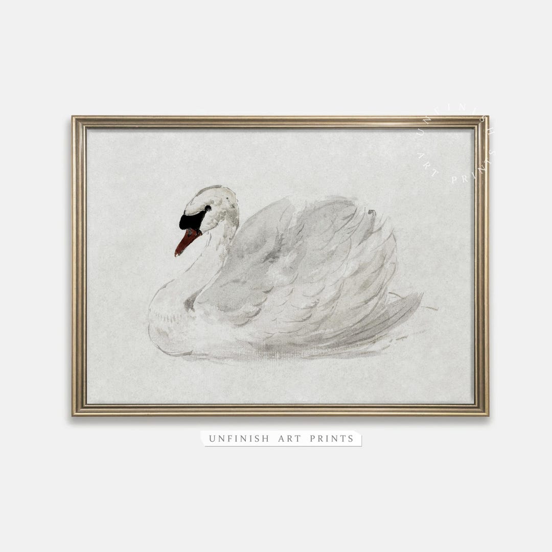 Neutral Tone Vintage Swan Art Print | Nursery Prints | Vintage Animal ...