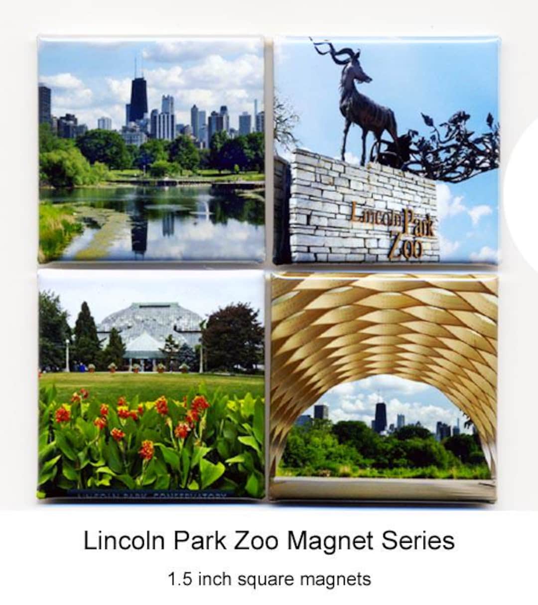 Lincoln Park Zoo Magnet Series, Set of 4 - 1.5 X 1.5 Inch Magnets - Etsy
