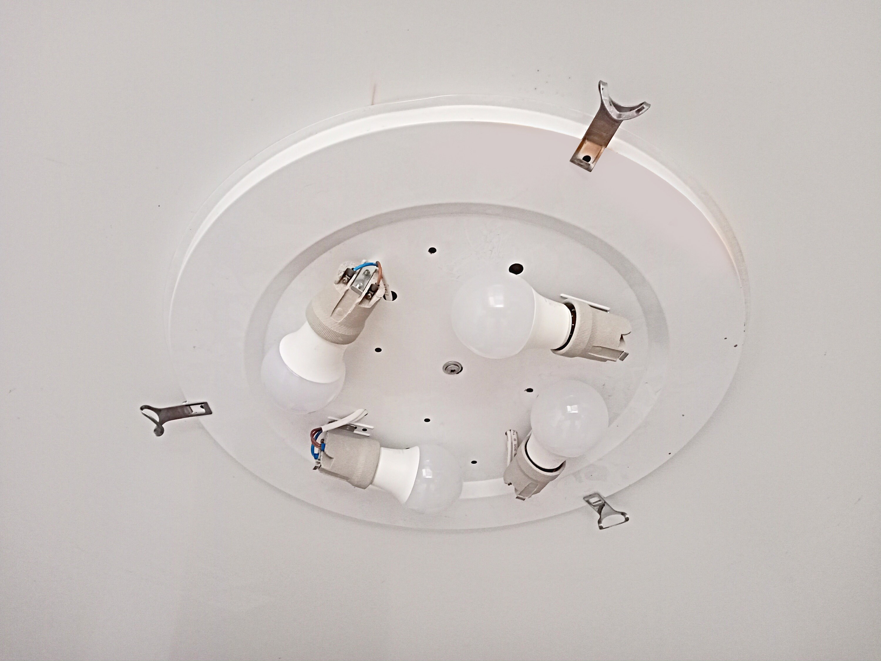 Ceiling Light Fixture Hand Painted Stained Glass Plafond Tropical ...
