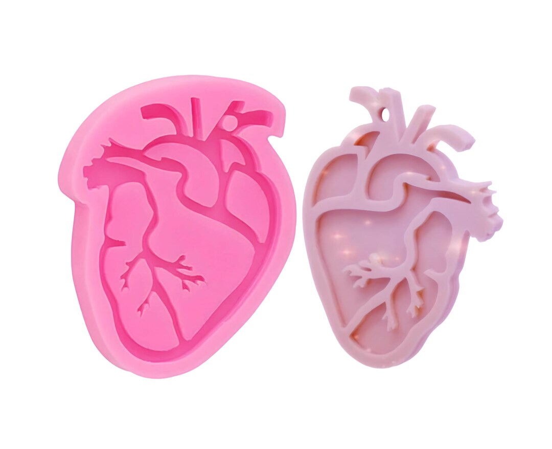 Anatomical Heart Silicone Mold, Heart Keychain Mold for Resin, Resin ...