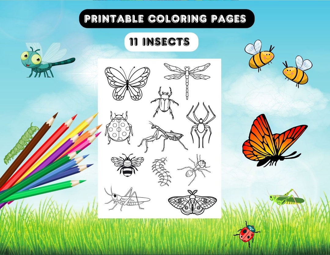 Printable Insect Coloring Page - 11 Images, 1 Page, Fun Coloring Sheet ...