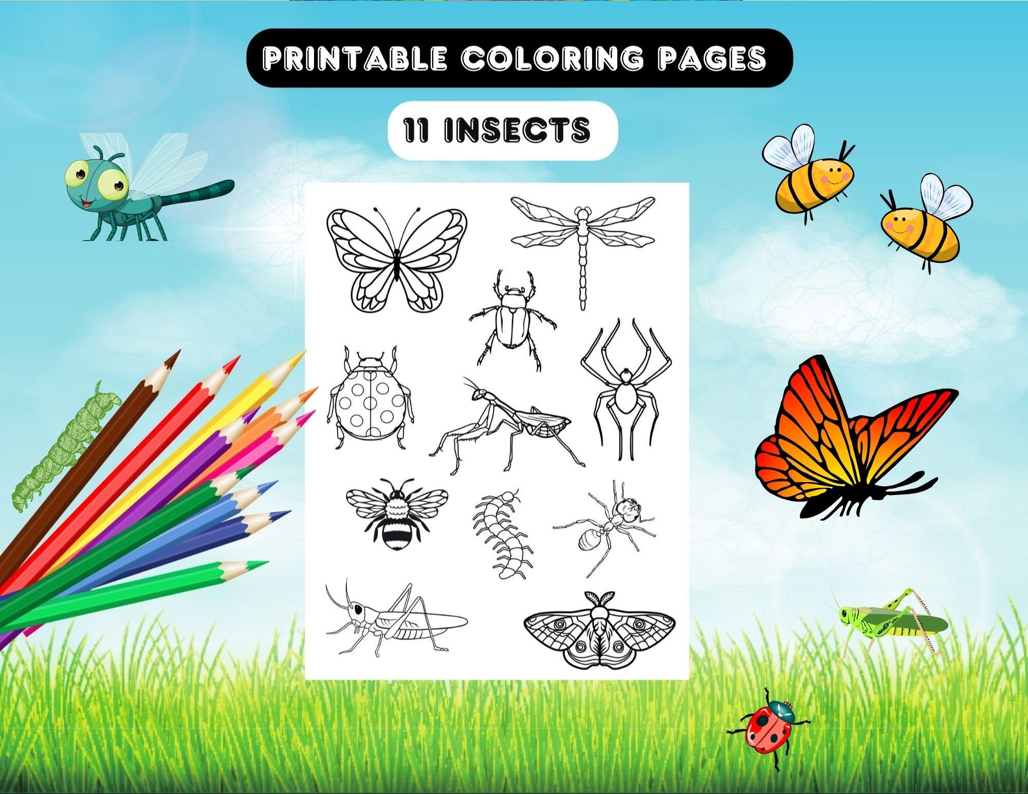 Printable Insect Coloring Page 11 Images, 1 Page, Fun Coloring Sheet ...