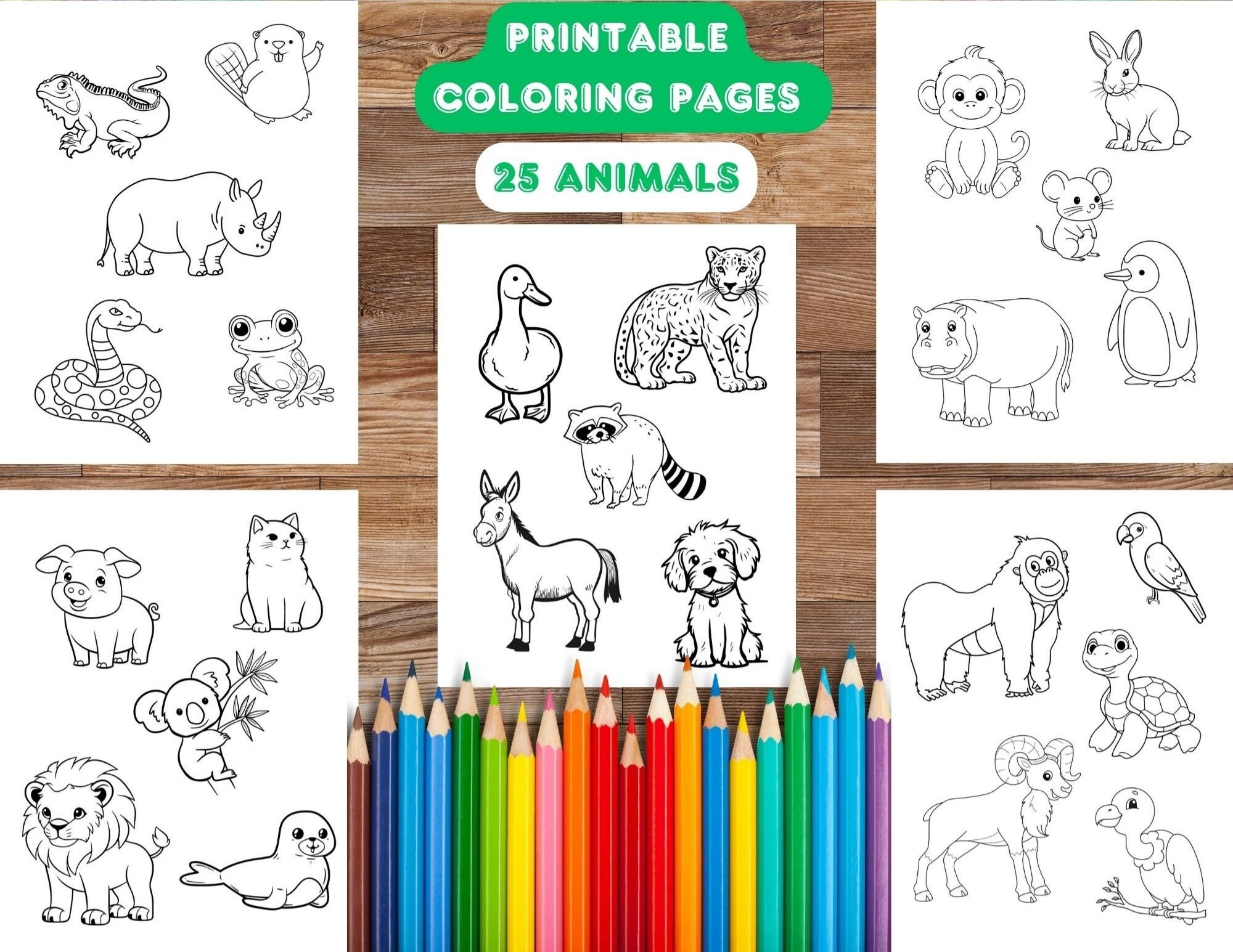 Printable Coloring Pages Variety Pack 126 Images, 32 Pages, Animals ...