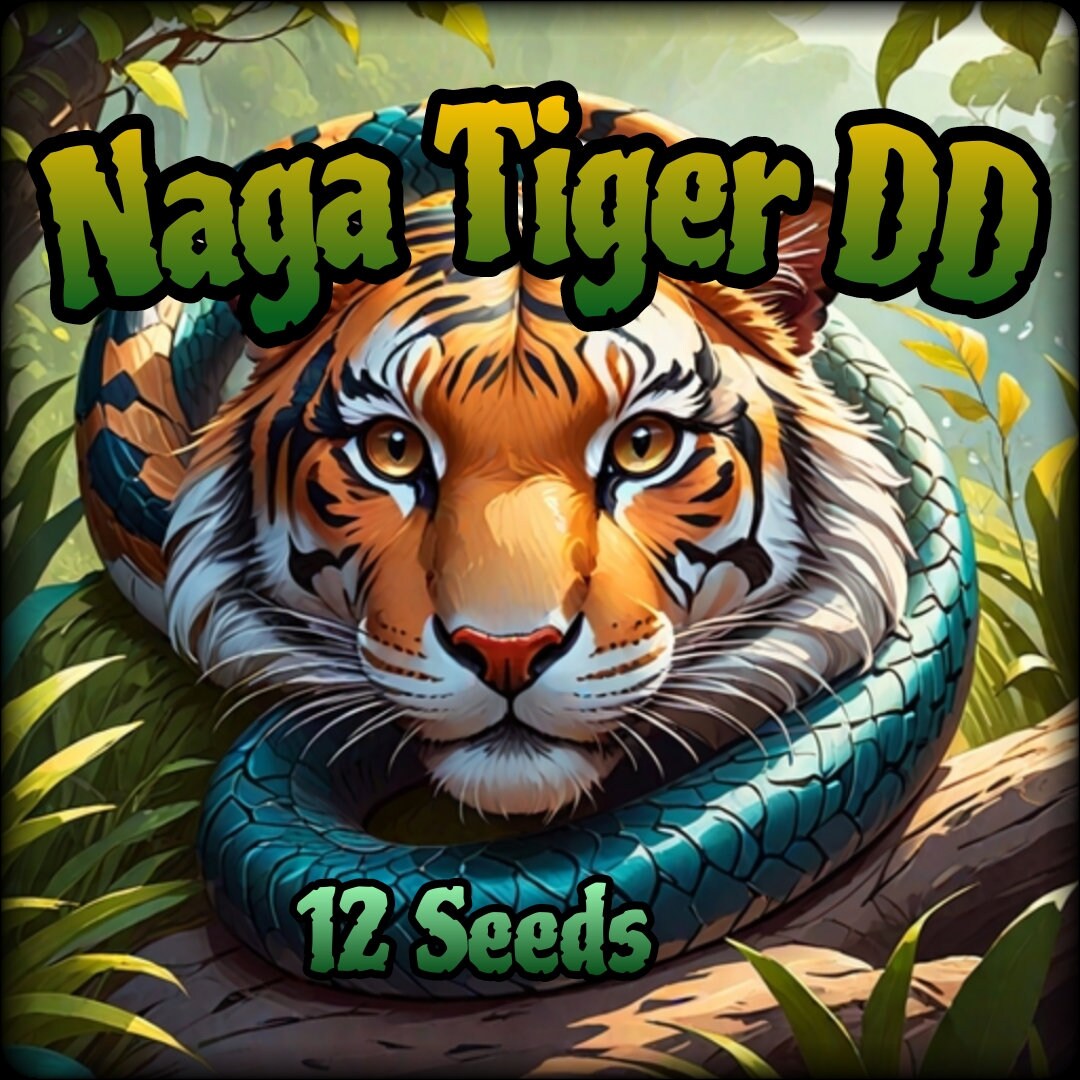Naga Tiger DD Pepper 12 Seeds Open Pollinated Free Bonus Seeds - Etsy