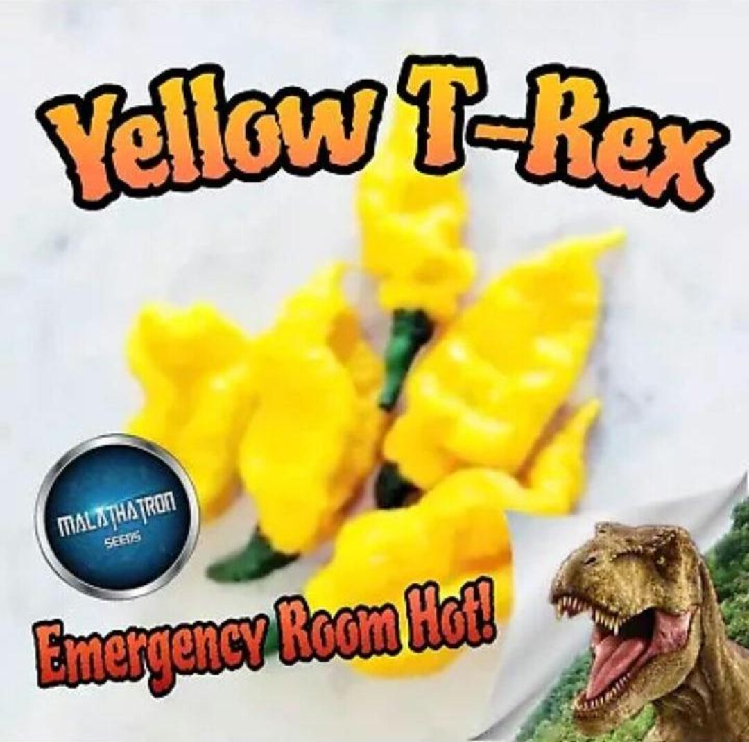 Yellow T-rex Pepper Seeds 12 Seeds Extremely HOT Superhot Free Bonus ...