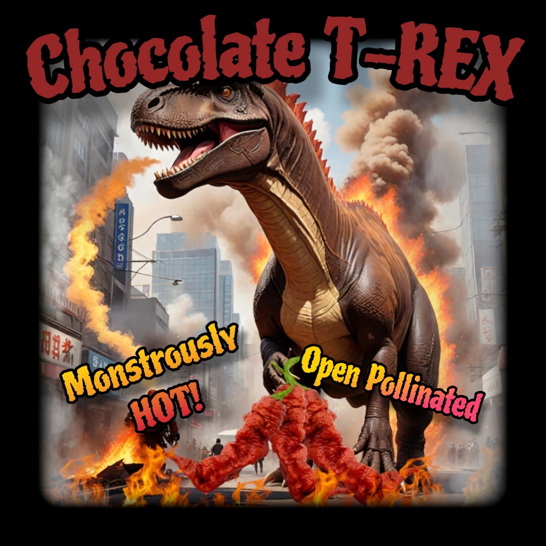 Chocolate T-rex Pepper 6 Seeds Evil Hot, Open Pollinated Free Bonus ...