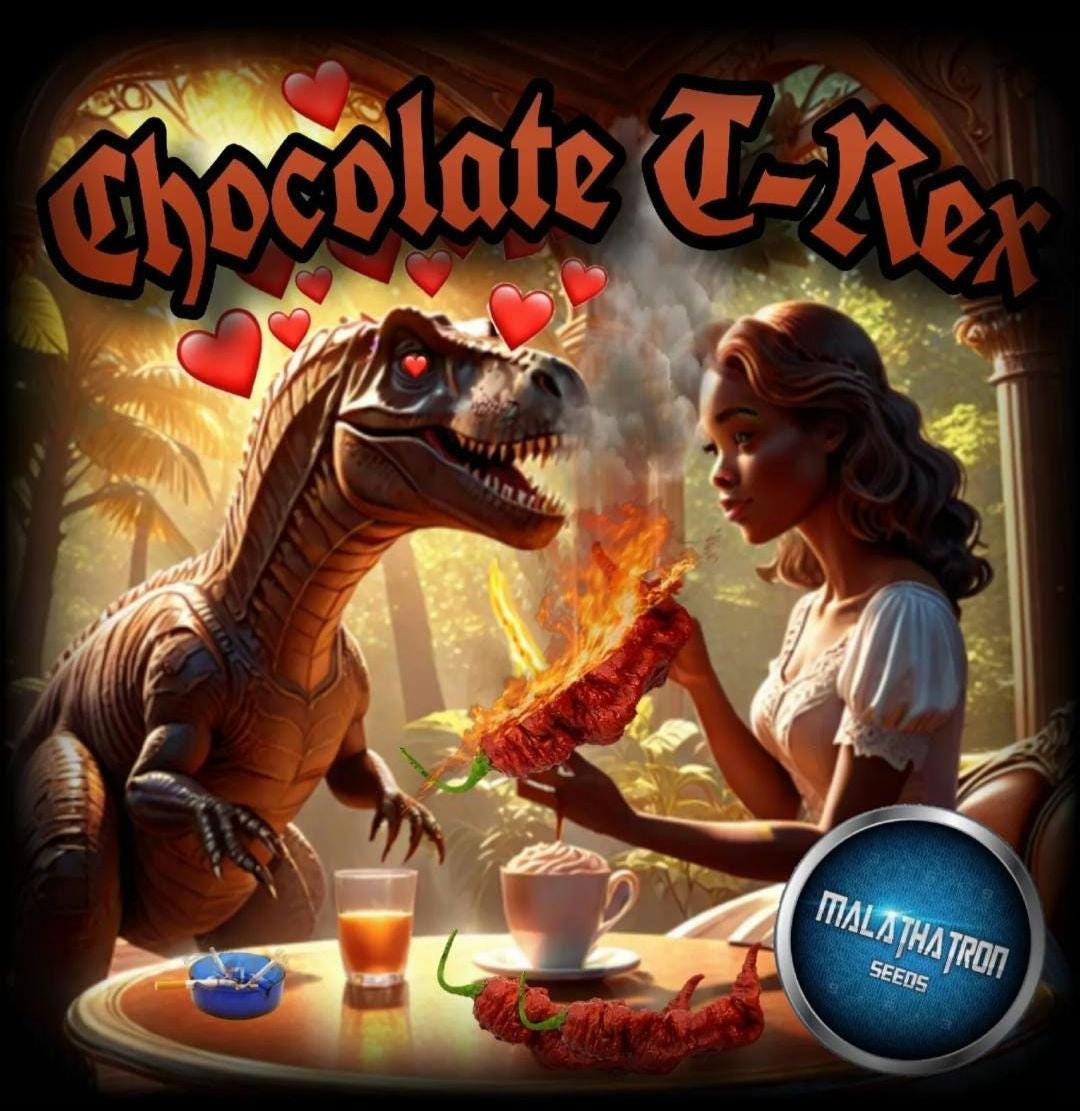 Chocolate T-rex Pepper (20 Seeds) Evil Lizard Heat Level! Extremely HOT ...