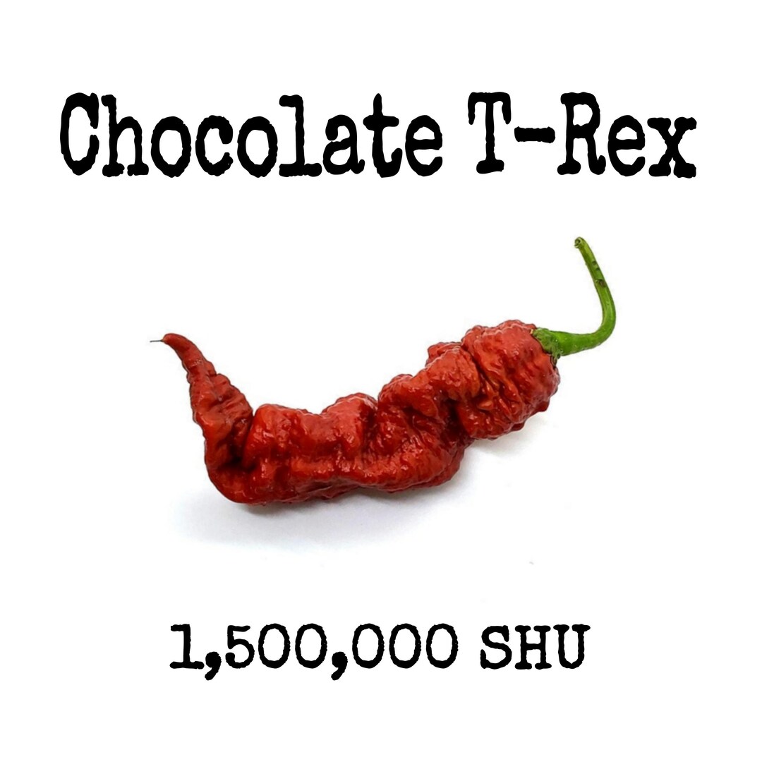 Chocolate T-rex Pepper 12 Seeds Evil Hot, Open Pollinated Free Bonus ...