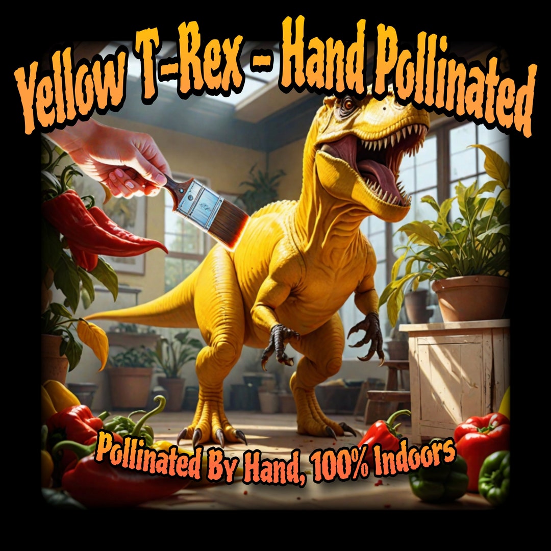 Yellow T-rex Pepper 6 Seeds Hand Pollinated, 100% Indoors, Extremely ...