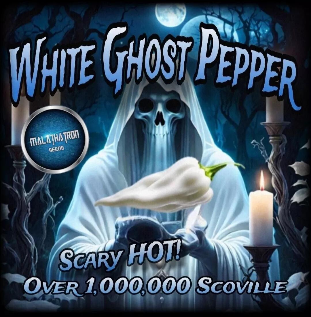 White Ghost Pepper (20 Seeds) SUPER HOT!!! - Etsy