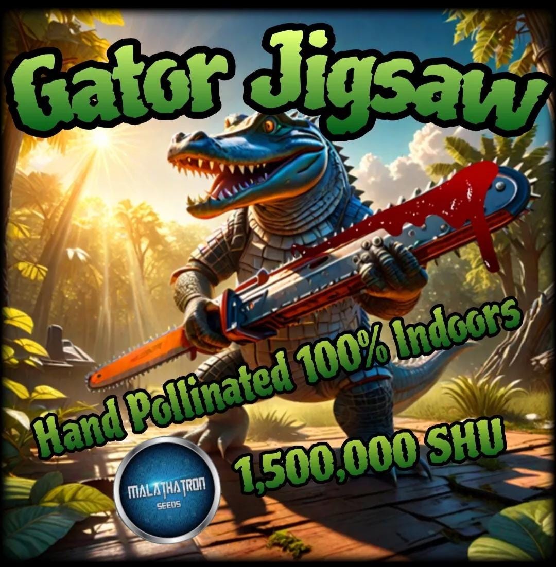Gator Jigsaw Pepper (20 Seeds) Dangerously Hot! - Etsy