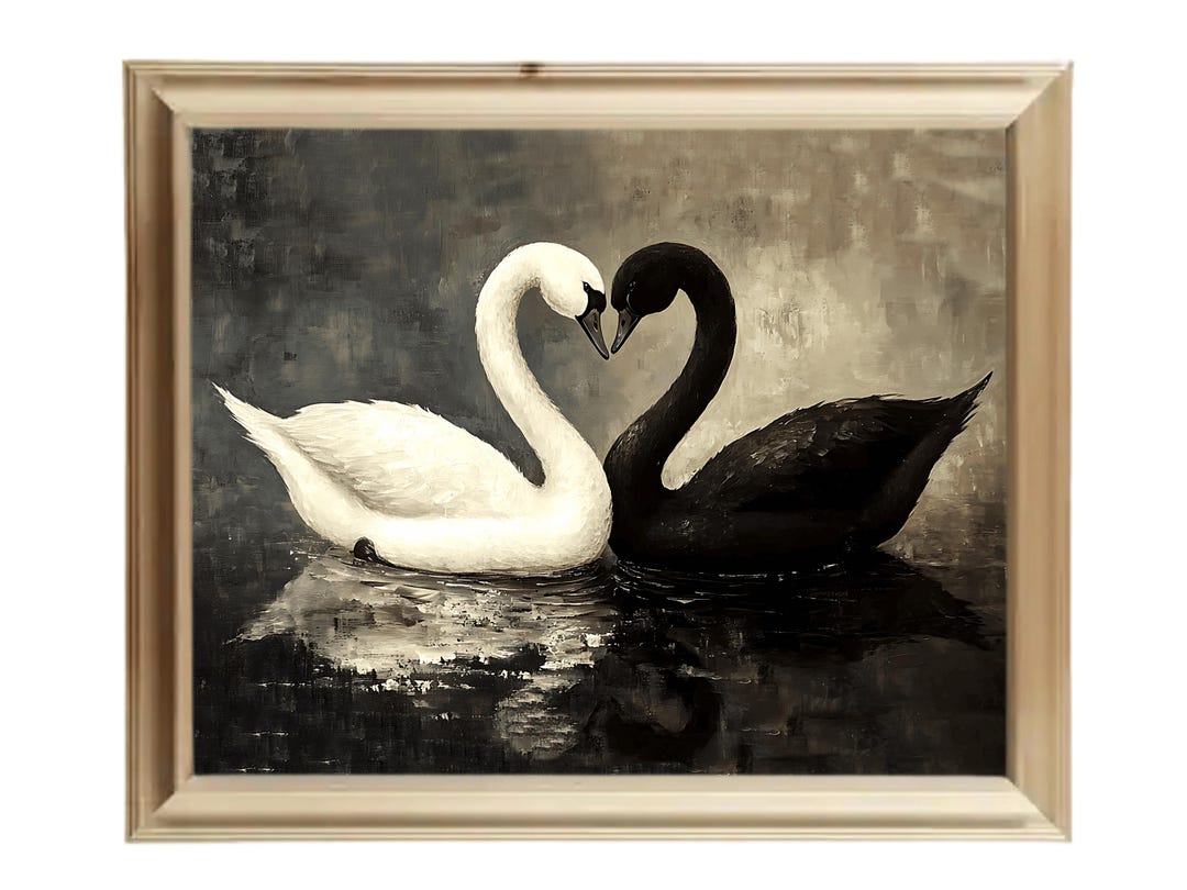 2 Swans, Black and White, Embracing and Creating a Heart. Printable ...