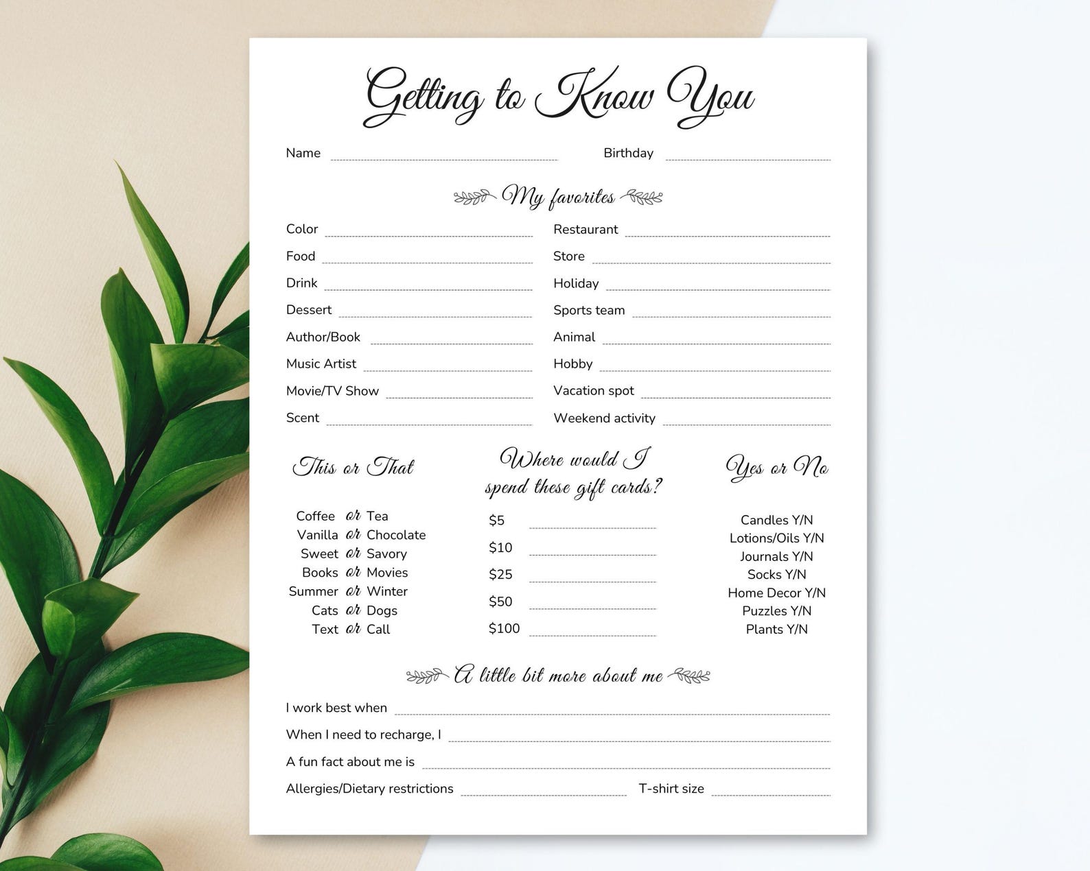 Getting to Know You Team Building Coworker Questions, Employee ...