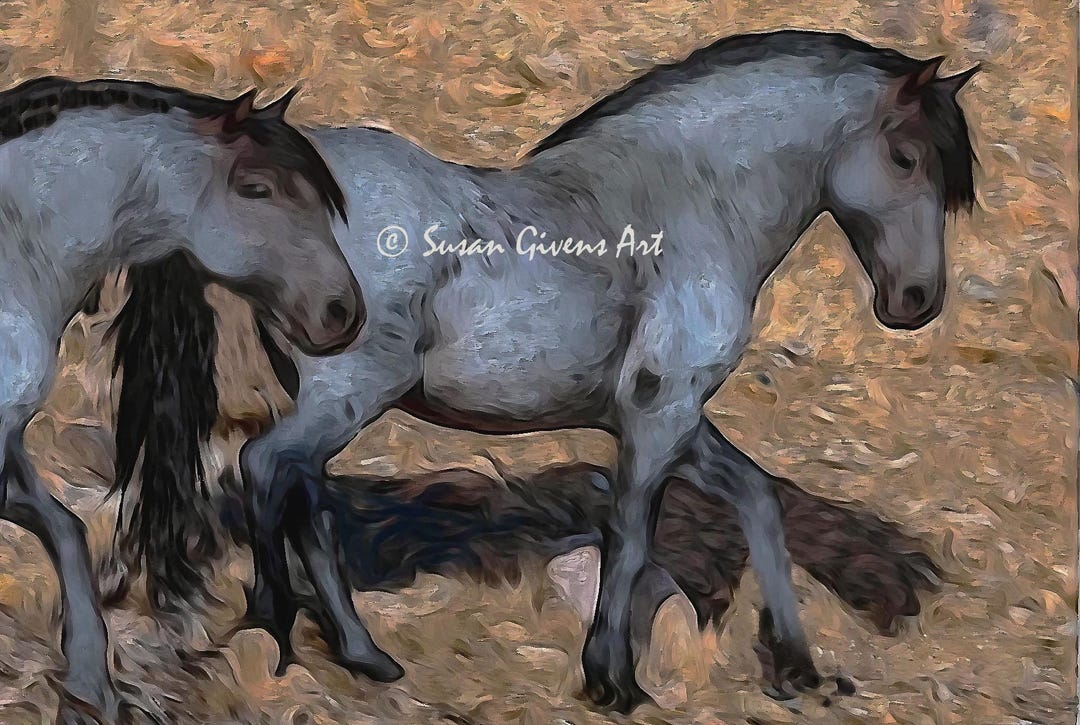 Wild Blue Mustangs Appaloosa Print Plains Indian Pony Herd Stallion - Etsy
