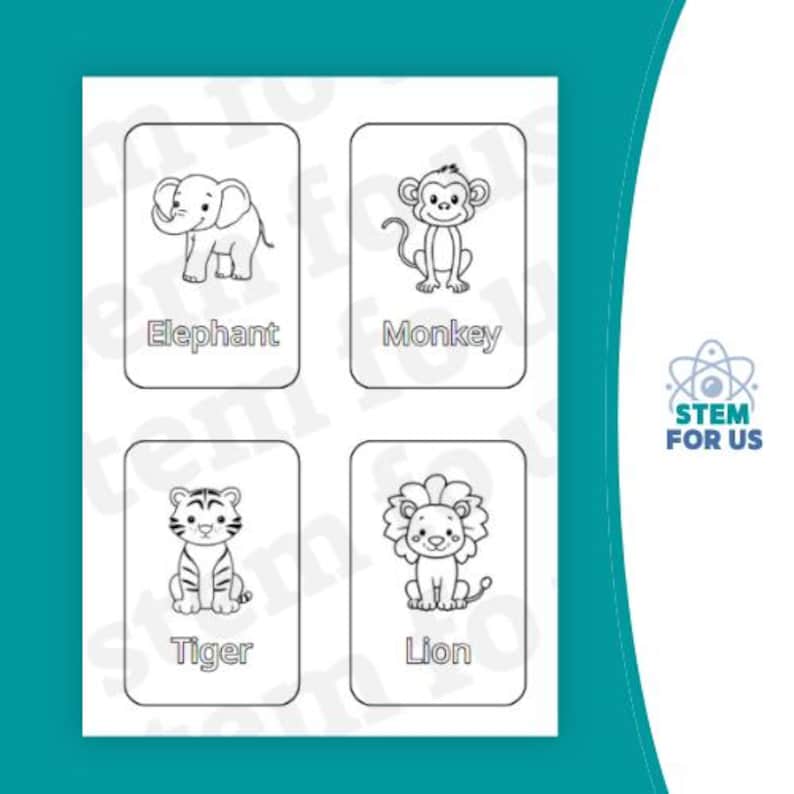 Educational Animal Flashcards | Drawing & Thinking Game for Kids - Etsy