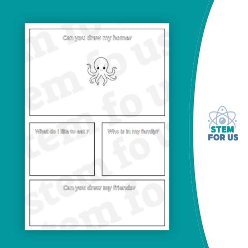 Educational Animal Flashcards | Drawing & Thinking Game for Kids - Etsy