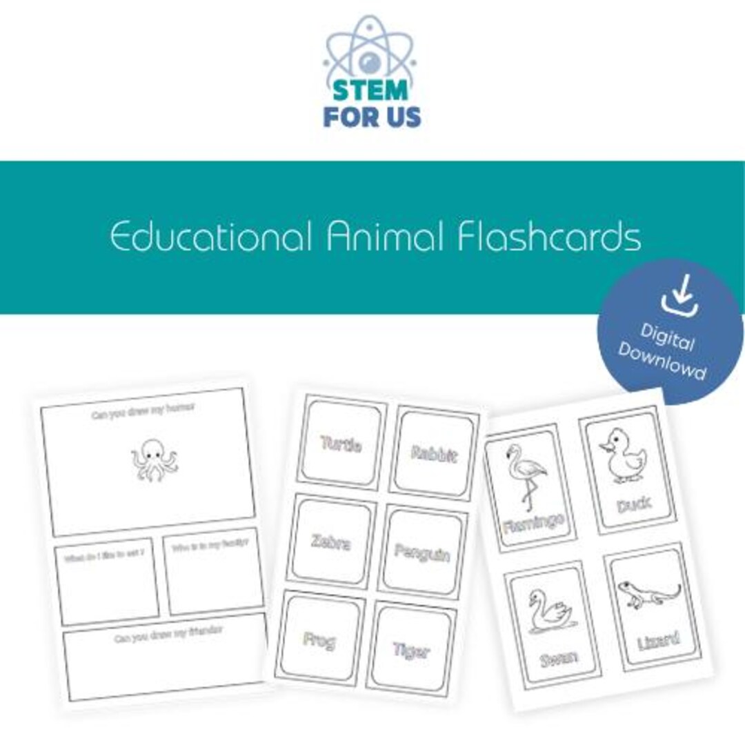 Educational Animal Flashcards | Drawing & Thinking Game for Kids - Etsy