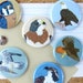 Raptor Pins Pack of 6 Nature Hawk Birder Bird of Prey - Etsy