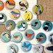 Shorebird Pins Pack of 6 Nature Ocean Birder Beach Shore Wildlife ...
