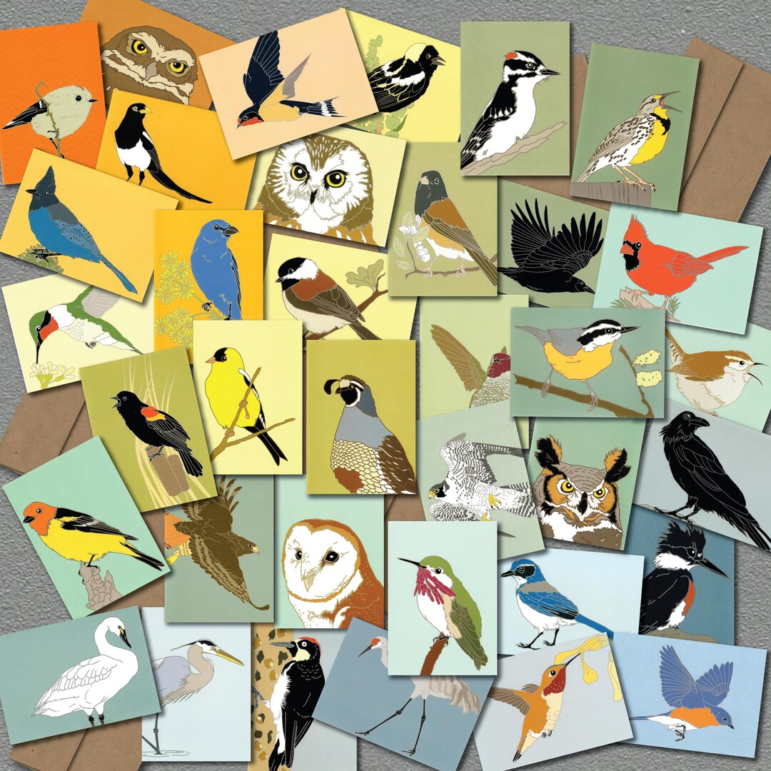 8 Bird Note Cards Mix + Match | Choose From 36 Designs | Recycled Paper ...