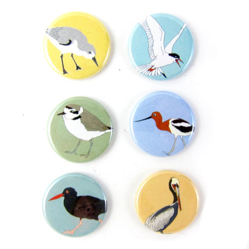 Shorebird Pins Pack of 6 nature ocean birder beach shore | Etsy
