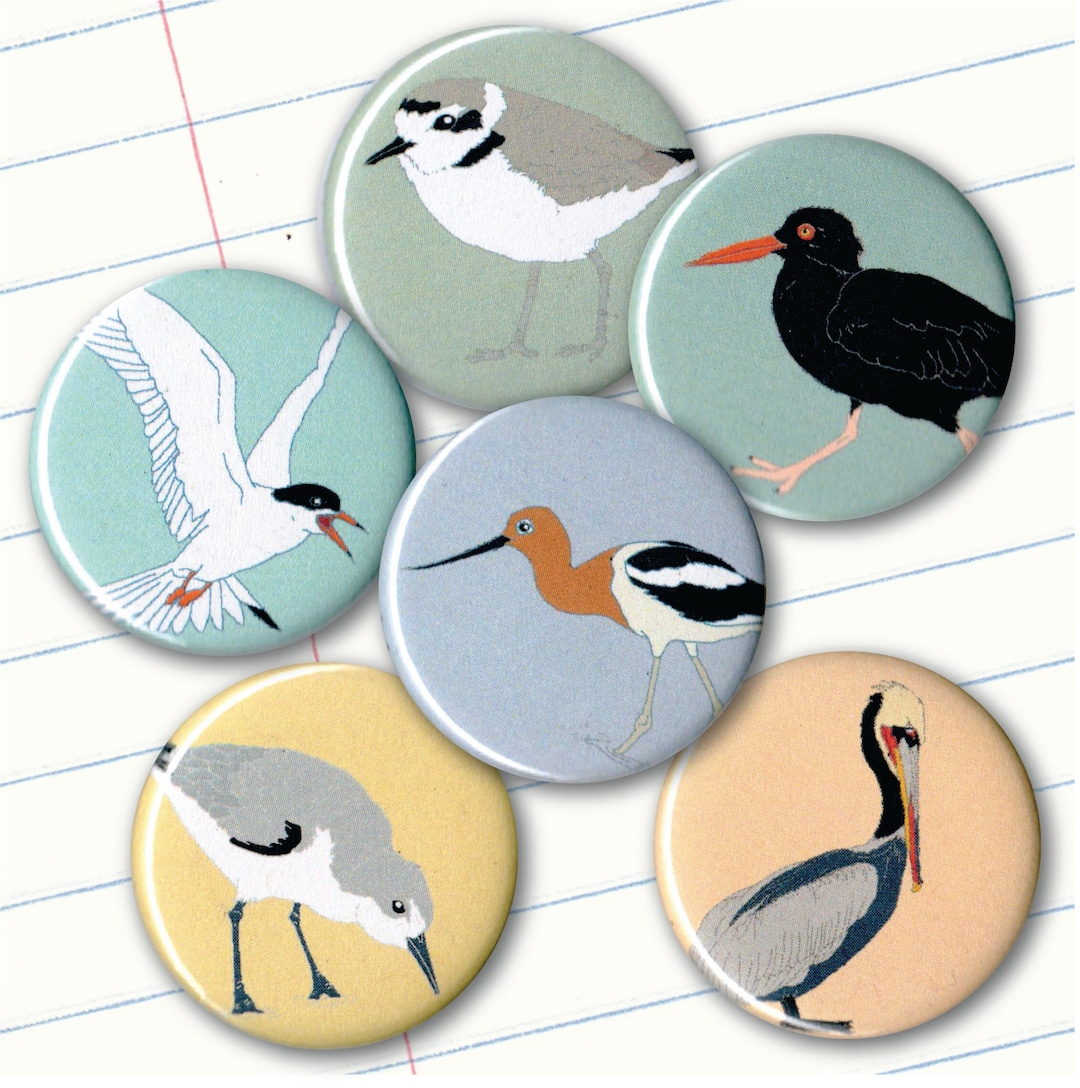 Shorebird Magnets | Set of 6 | Nature Outdoors Birder Beach Ocean ...
