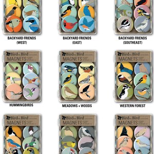 Bird Magnet Gift Set | Choose From 17 Themes | Nature Audubon Birder ...