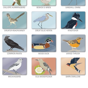 Bird Mini Wallet | 42 Wild Bird Designs | Vegan Leather | Cute Colorful ...