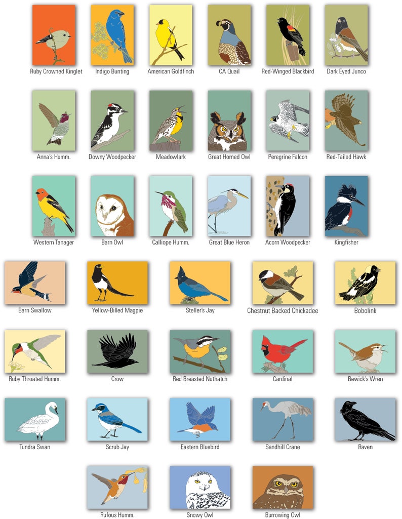 Bird Note Cards Mix Match 8 Choose From 36 Designs | Etsy