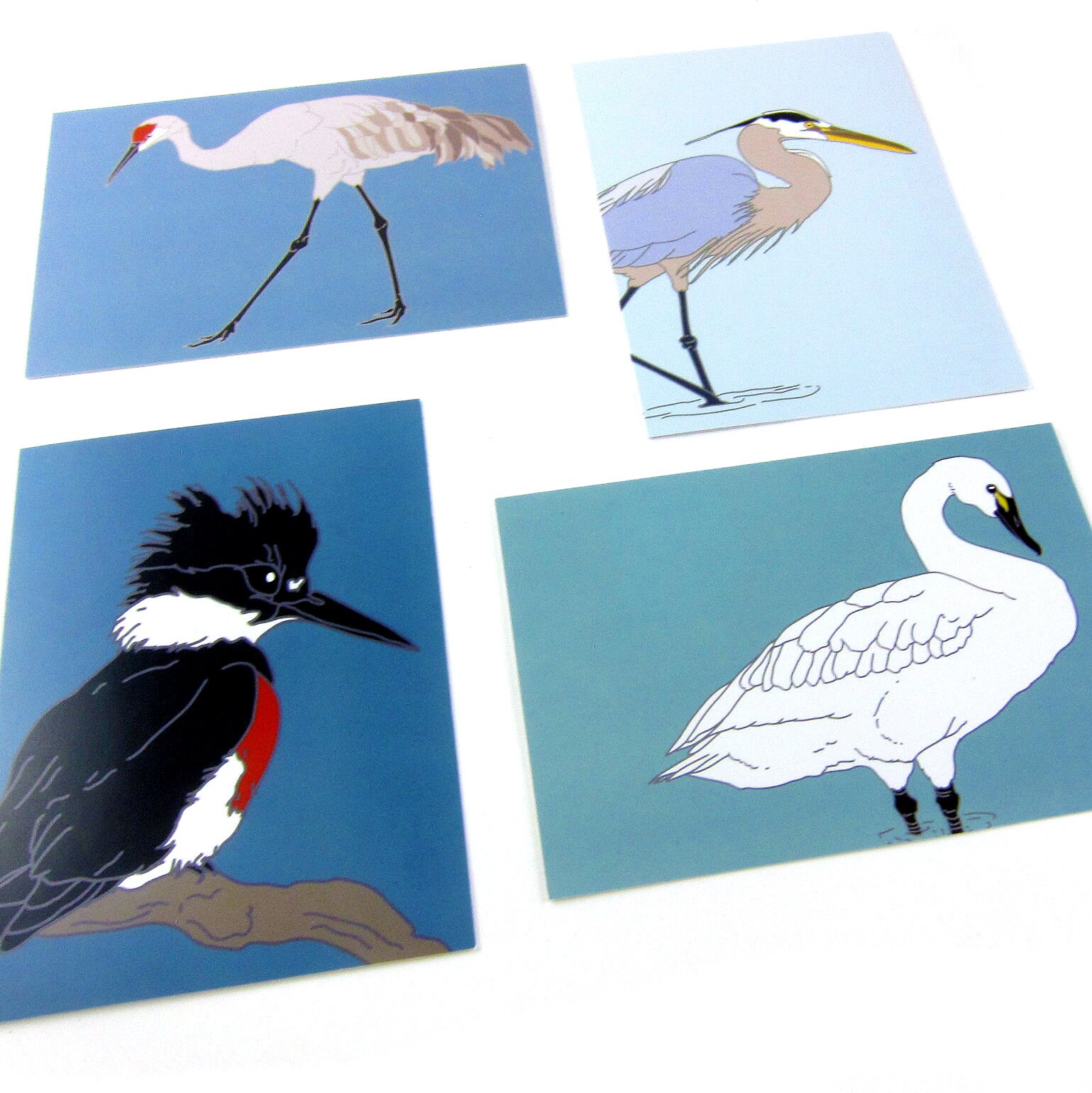Box of Wetlands Birds Note Cards 2 Each of 4 Designs - Etsy