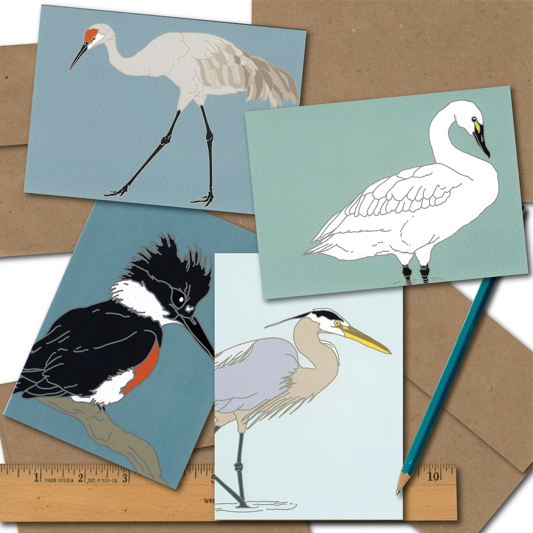 8 Wetlands Birds Note Cards | 2 Each of 4 Designs | Recycled Paper ...