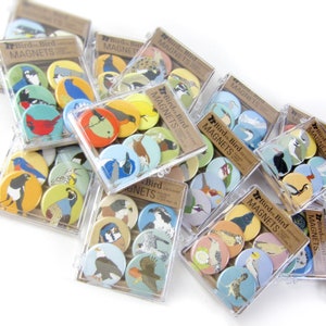 Desert Birds Magnets Set of 6 Nature Outdoors Birder - Etsy