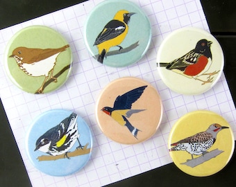 Desert Birds Magnets Set of 6 Nature Outdoors Birder | Etsy