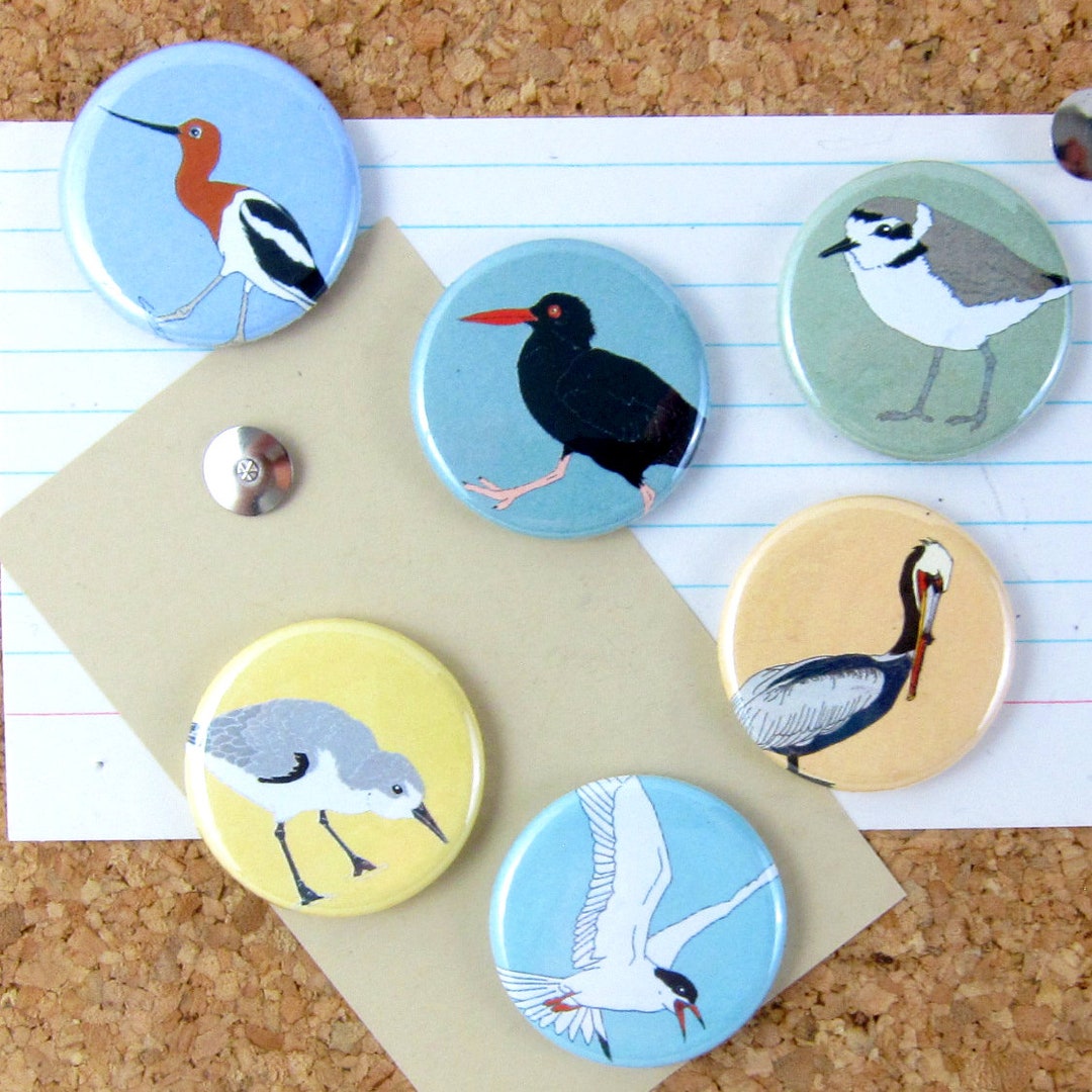 Shorebird Pins Pack of 6 Nature Ocean Birder Beach Shore - Etsy