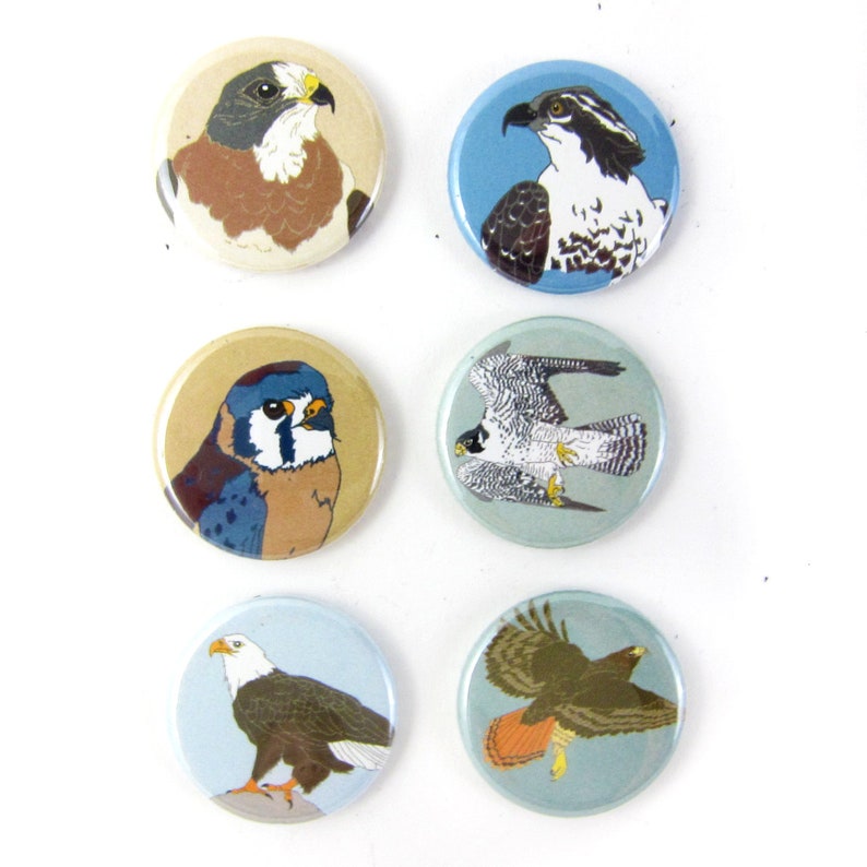 Raptor Pins Pack of 6 Nature Hawk Birder Bird of Prey - Etsy