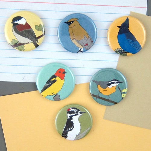 Raptor Magnets Boxed Set of 6 Nature Outdoors Bird of Prey - Etsy