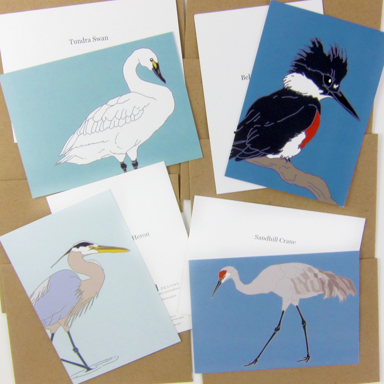 Box of Wetlands Birds Note Cards 2 Each of 4 Designs - Etsy