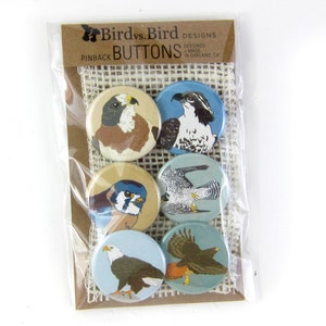 Raptor Pins Pack of 6 Nature Hawk Birder Bird of Prey - Etsy