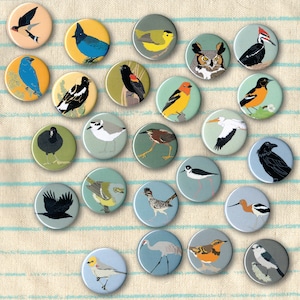 Mix and Match 24 Bird Pins: 100+ Designs! | US Native Wild Songbirds ...