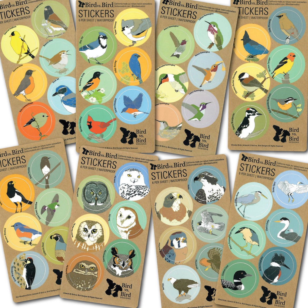 Bird Sticker Assortment | 48 Different Designs | Waterproof Round Decal ...